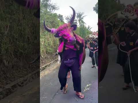 #bantengannuswantara #bantengannuswantoro #bantengan#bantengankotabatu#trending#viral#videohiburan