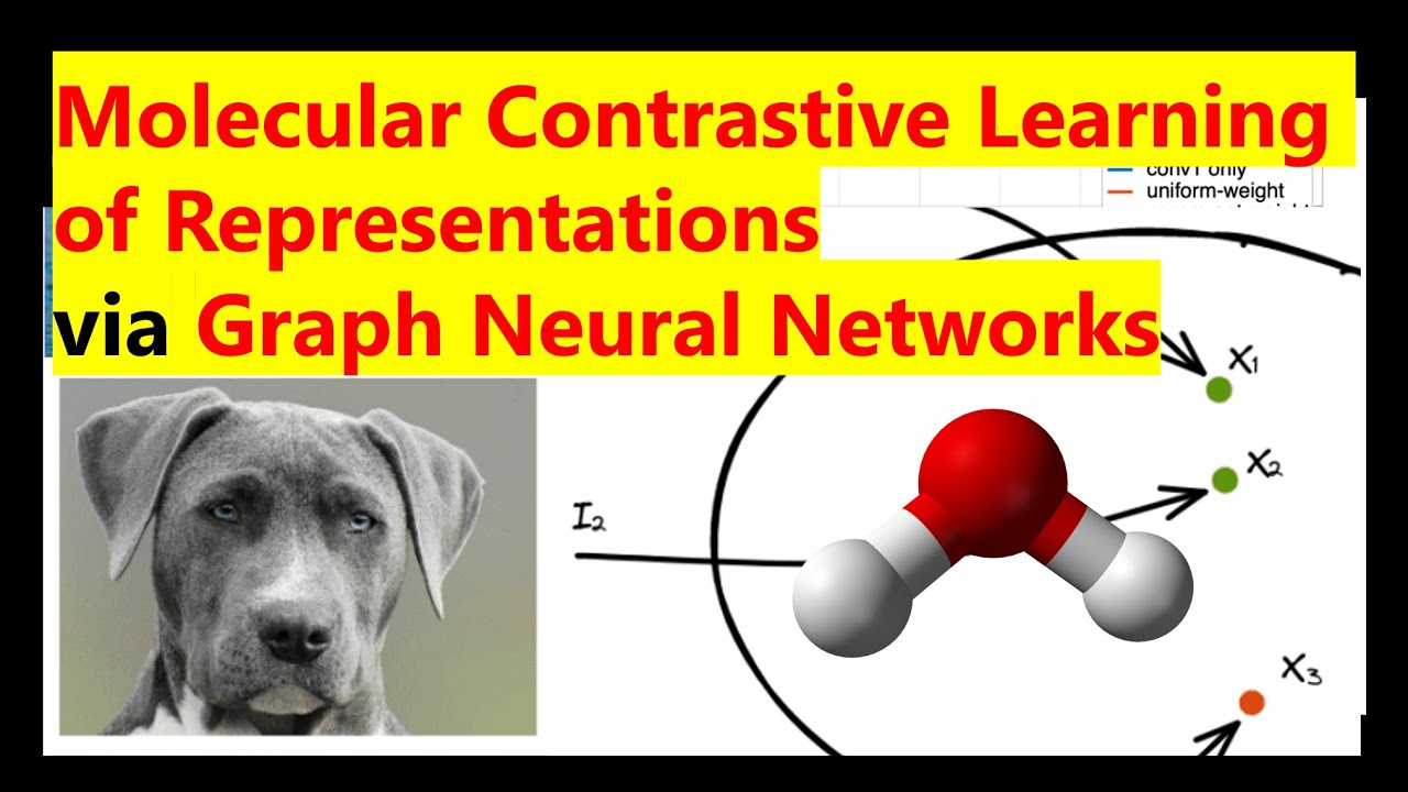 Molecular Contrastive Learning of Representations via Graph Neural Networks (Paper Review)