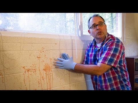 Meet the Professor: Bryan Brendley Talks Forensic Biology Major