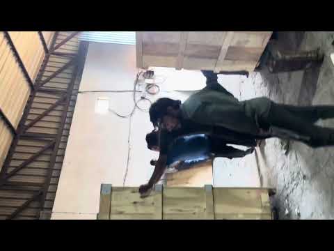 Export Packaging, Packaging Services For Export Goods in India