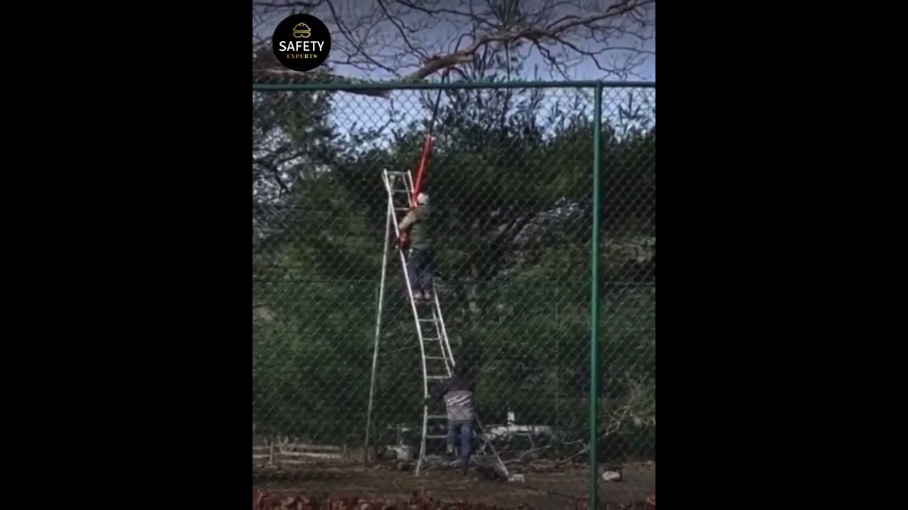 Branching Out Safely: Master the Art of Tree Trimming!