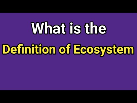 What is the Definition of Ecosystem