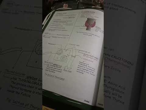 zoology med easy for neet aspirants written by samapti mam # easy to understand and very helpful