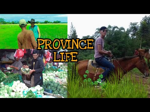 BUHAY PROBINSYA || SIMPLENG BUHAY SA BUKID || VINO ANG KHO LIFE STORY