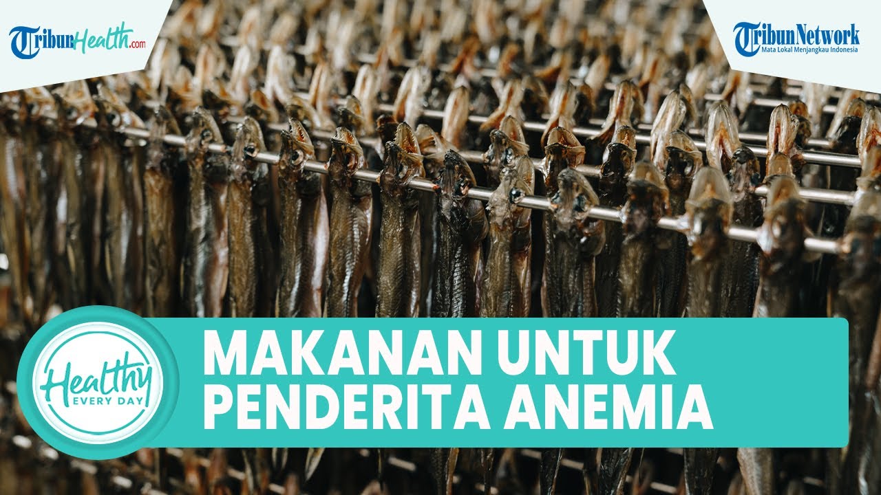 Inilah Daftar Menu Makanan yang Baik Dikonsumsi untuk Penderita Anemia ...
