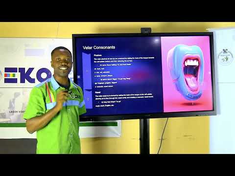 EKO LEARNERS' SUPPORT || ENGLISH LANGUAGE LESSON 008 || THE 24 CONSONANT SOUNDS IN ENGLISH