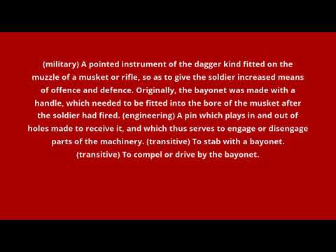 what is the meaning of bayonet