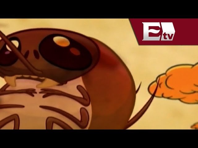 Super cucaracha en México: cómo identificarlas, qué son y cómo combatirlas