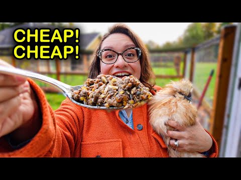 These CHEAP and FREE Foods Keep Chickens Healthy in WINTER!