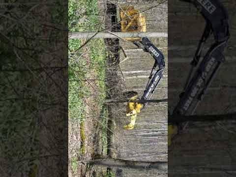 Logging With The Johnson Crew