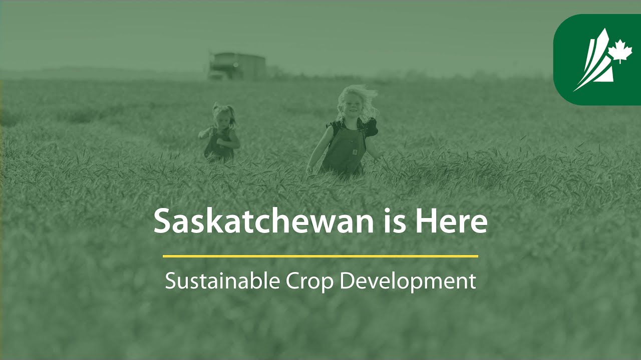 Saskatchewan is Here | Sustainable Crop Development