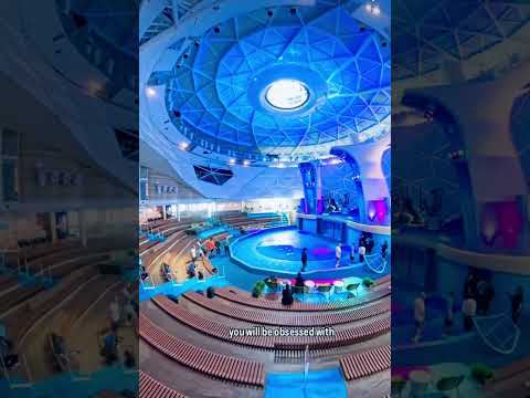 #love #cruise #marine #entertainment #dance #trending #rcbians