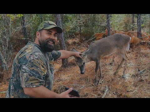 Bible Verses about Deer or Harts