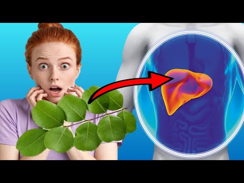 5 Medical Senna Leaves Health Benefits, Uses and Side Effects (WEIGHT LOSS)