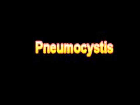 What Is The Definition Of Pneumocystis Medical School Terminology Dictionary