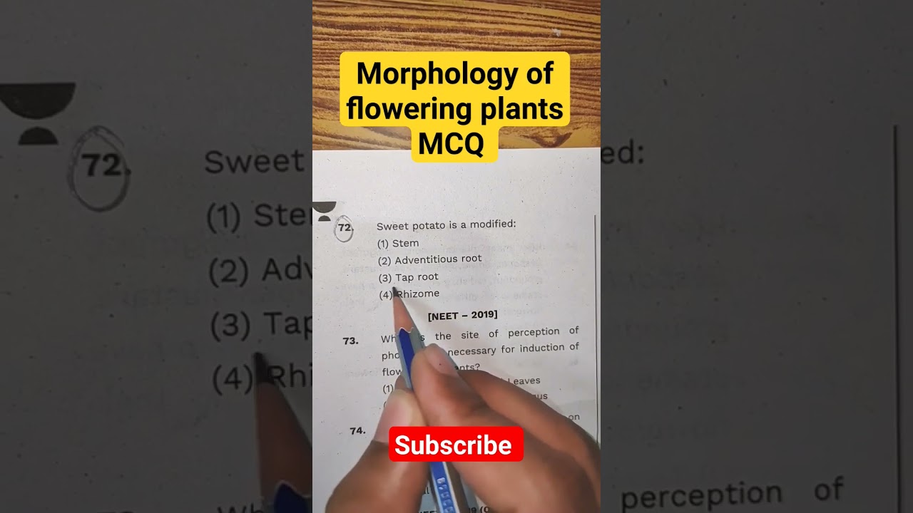 morphology of flowering plants MCQ practice 🎯 #aiims #neet #neetbiology#shortsvideo #shorts#biology