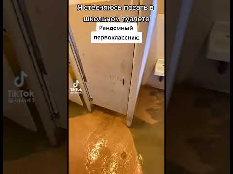 Taco Tuesday meme