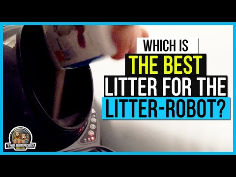 The Best Litter To Use With The Litter-Robot 3 Automatic Litter Box
