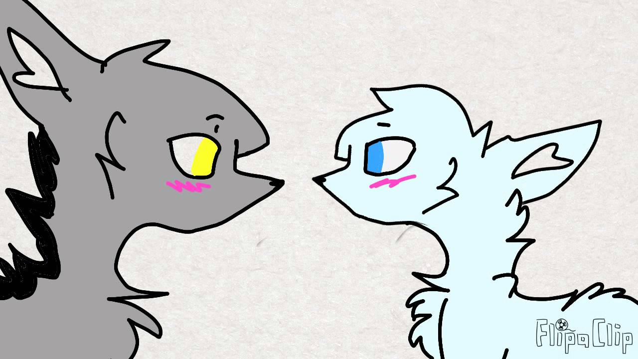 How Silverstream and Graystripe met ♡