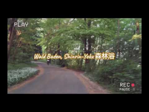 Wald Baden, Shinrin-Yoku