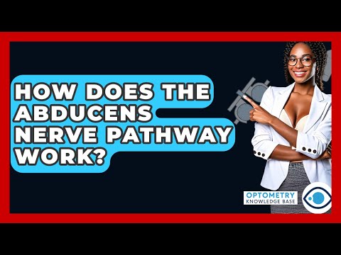 How Does The Abducens Nerve Pathway Work? - Optometry Knowledge Base