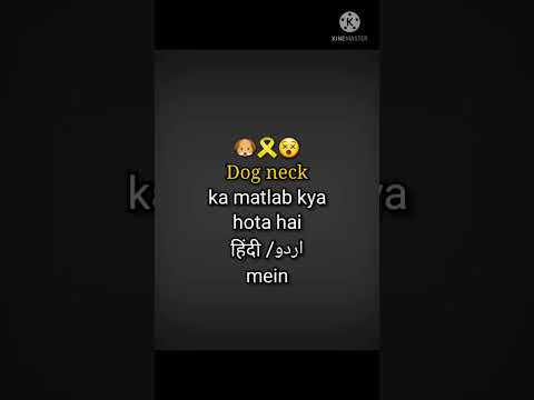 Dog neck meaning in HINDI/URDU | Pronunciation | Sentence | Pronounce | Example | LFU Channel