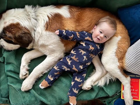 Victor, Idaho’s Jeremy Best arrested; What happened to Kali Jean ...