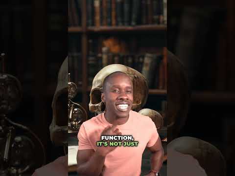 People with larger heads are more intelligent! Truth or Trash episode 165! #biology