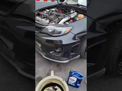 Shell Rotella Oil Change On Wrx #mustwatch #Rotella #oil
