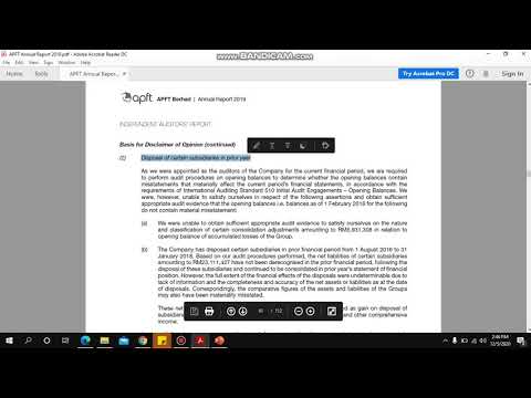 Disclaimer Audit Opinion - Audit 2