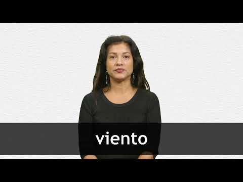 English Translation of “VIENTO” | Collins Spanish-English Dictionary