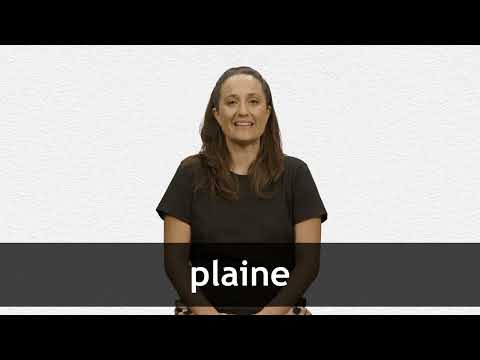 English Translation of “PLAINE” | Collins French-English Dictionary