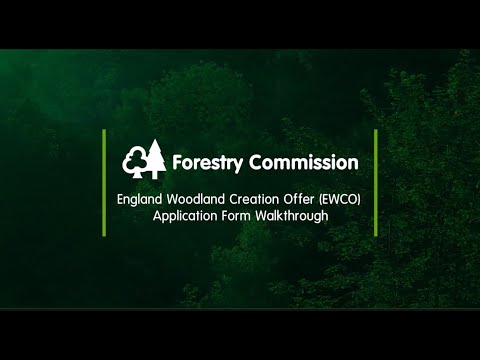 EWCO form: operational plan tab