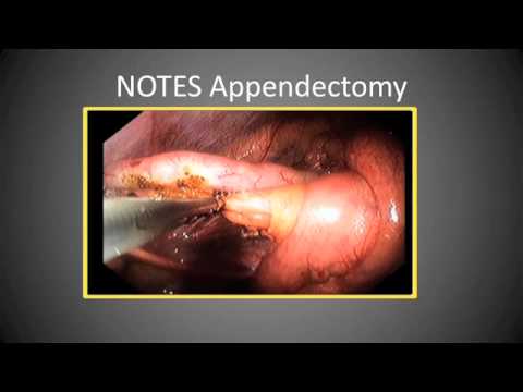 Surgical Metamorphosis: Preparing for Change