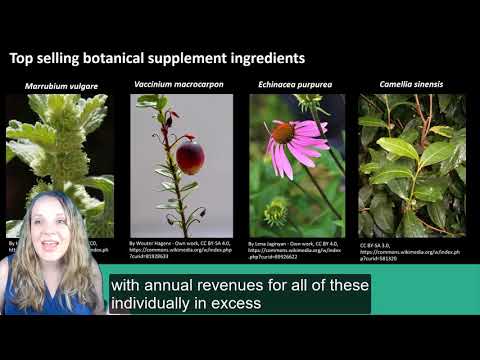 Dietary Supplements: Definitions & Regulatory Considerations in the USA