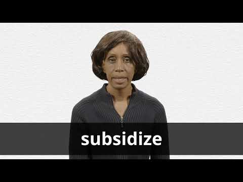 SUBSIDIZE definition and meaning | Collins English Dictionary