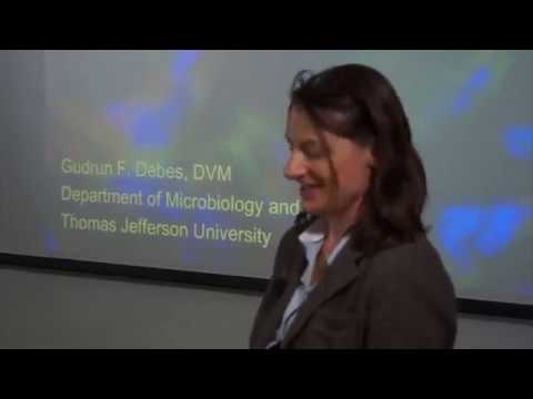 DRFZ Campus 2017 06 14 Gudrun Debes University Philadelphia