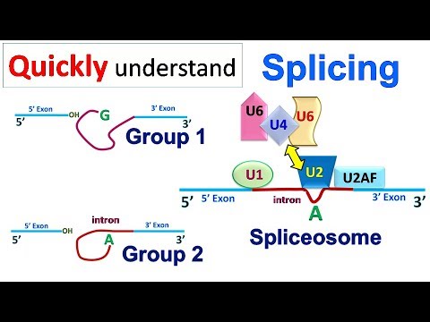 Splicing