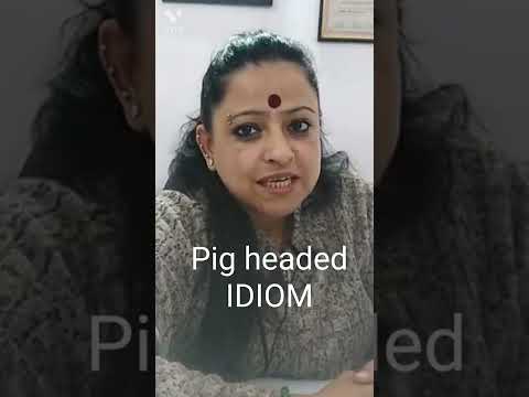 IDIOM Pig- Headed..Means..(Obstinate ..Stubborn)