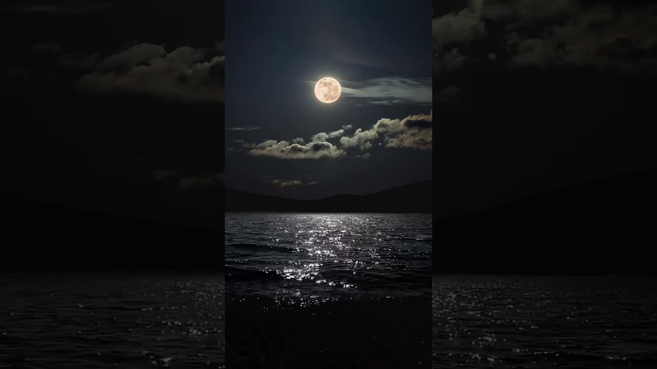 Suasana pantai di malam hari ketika bulan bersinar terang #short #nature #explore #beautifulview