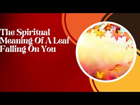 The Spiritual Meaning Of Leaf When It Falls On You 🍂