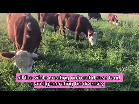 The beauty of regenerative farming
