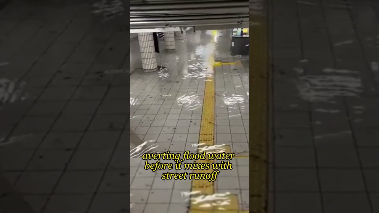 In Japan even a flood feels organized #TokyoFlood #IchigayaLine #Subway #Infrastructure #ViralVideo