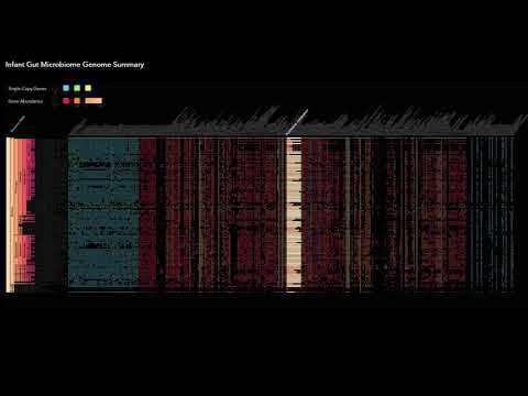 Metagenomic Data Visualization | Nature–Design Triennial