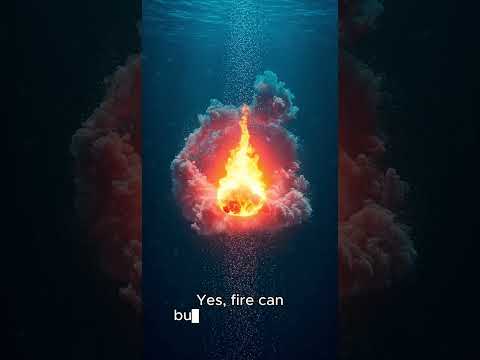 "3 Science Facts You Wonโt Believe Are Real"