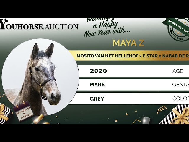 Youhorse.auction | Maya Z