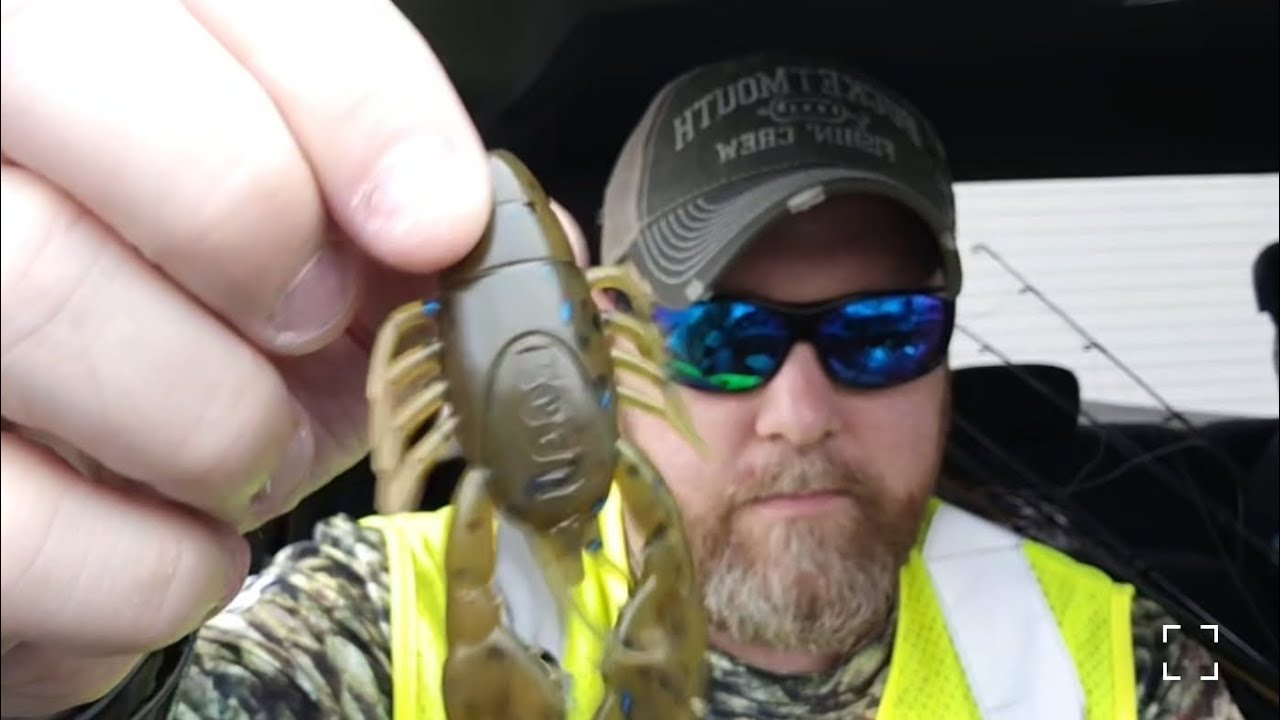Soft Plastic Baits: Rogue Bait Co