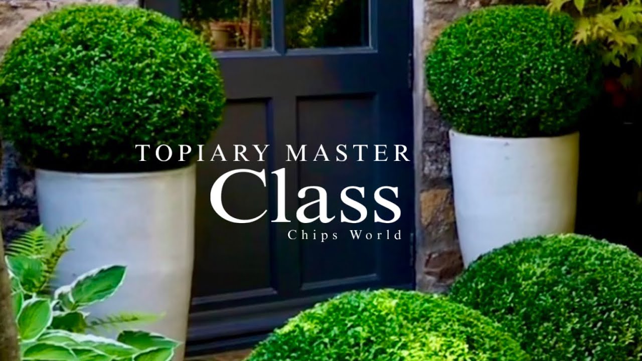 Topiary made Simple: tips & tricks #topiary #tutorial #boxwoodballs