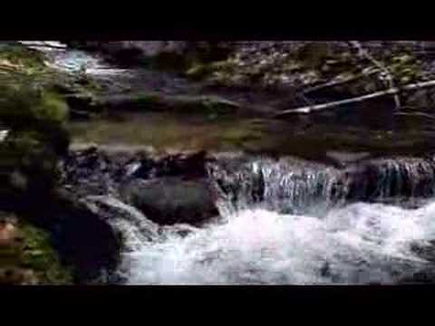 SIGN LANGUAGE - Moïcani - L'Odéonie