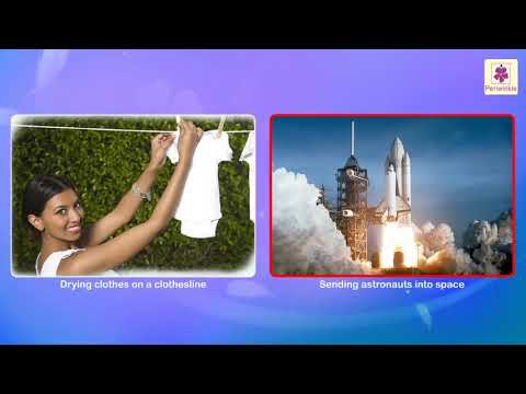 Force, Work And Energy For Kids | Science Educational Video | Periwinkle